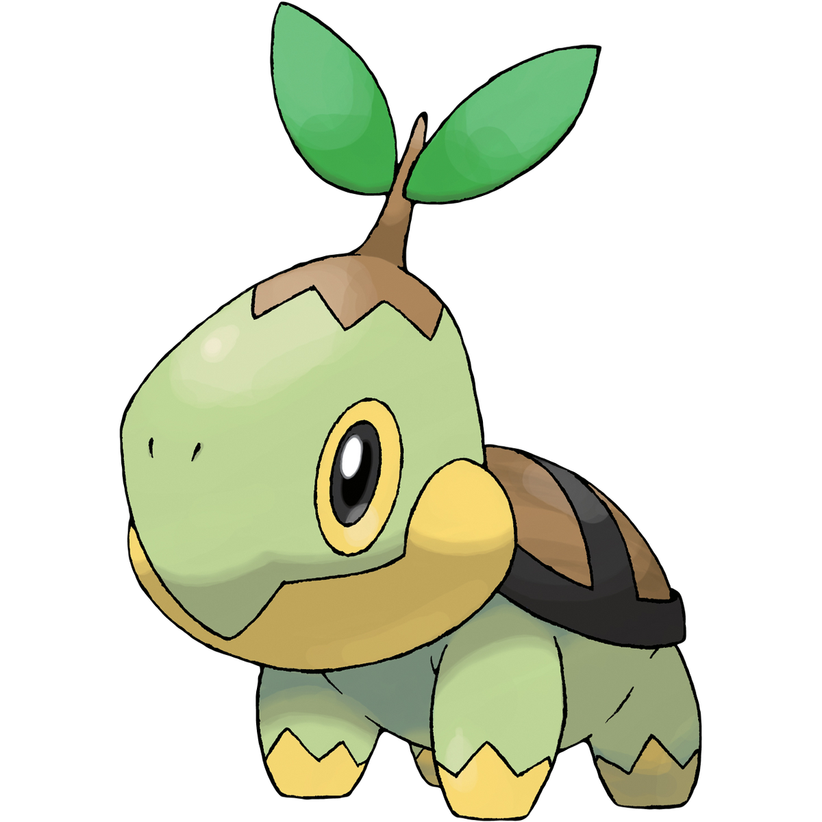 Turtwig Rockman Pokémon Wiki Fandom