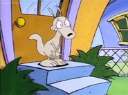 Rocko Rama/Gallery/Snapshots | Rocko's Modern Life Wiki | Fandom