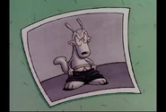 Rocko Rama/Gallery/Snapshots | Rocko's Modern Life Wiki | Fandom