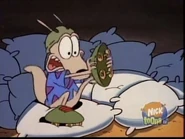 Wallaby on Wheels/Gallery | Rocko's Modern Life Wiki | Fandom