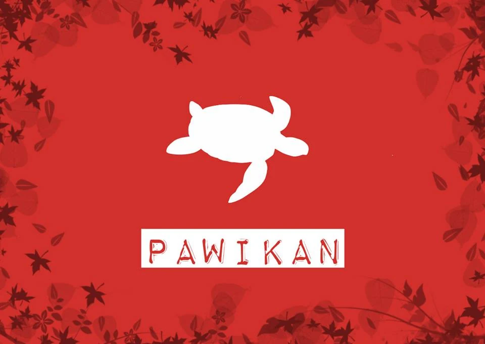 Pawikan | Rockstar Survivor Org Wiki | Fandom