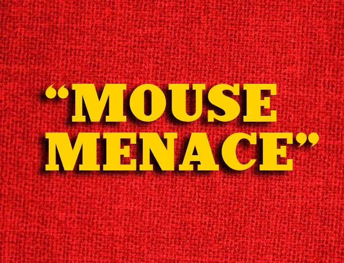 Mouse Menace | Rocky Raccoon Cartoons Wiki | Fandom