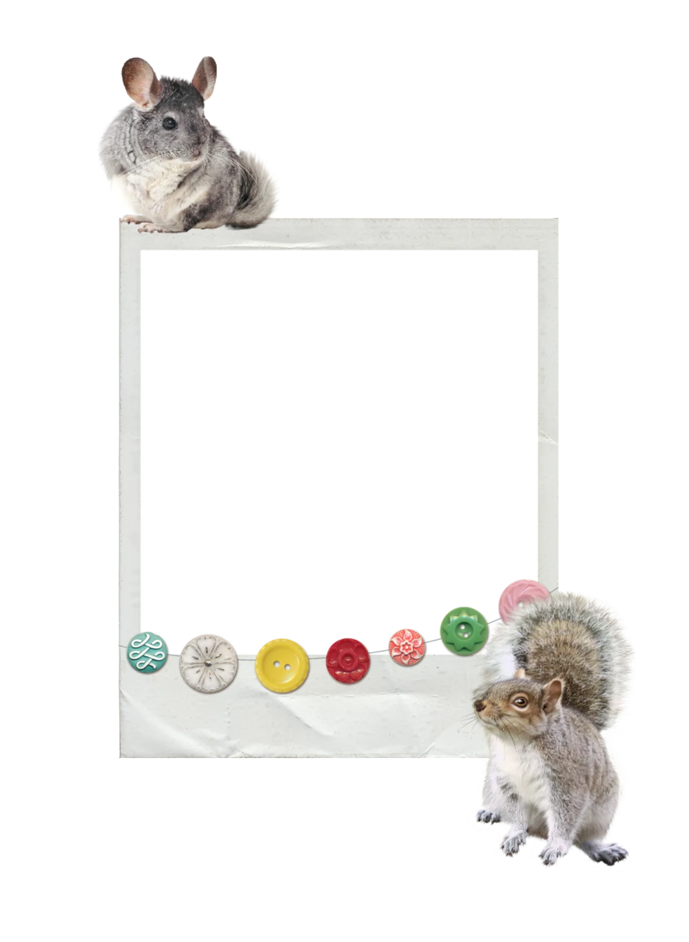 Rodent Wiki Fandom rodent-wiki-fandom