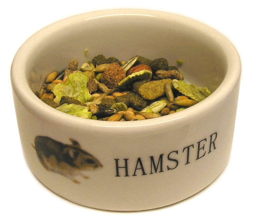Hamster Food