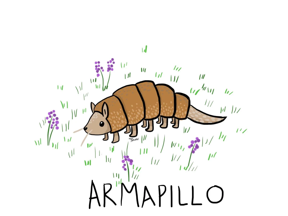 Insect Contest | Rodeo Stampedia | Fandom