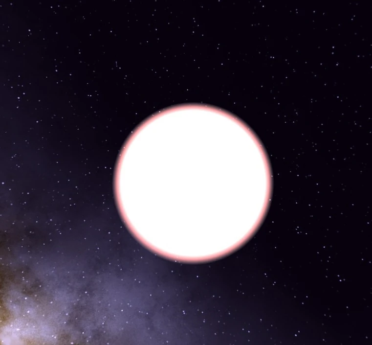 Zorica | Rodina Wiki | Fandom