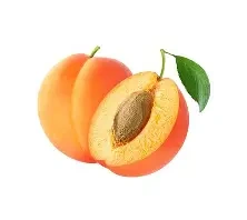 Apricot | Ro-Gen Vegetables Wiki | Fandom