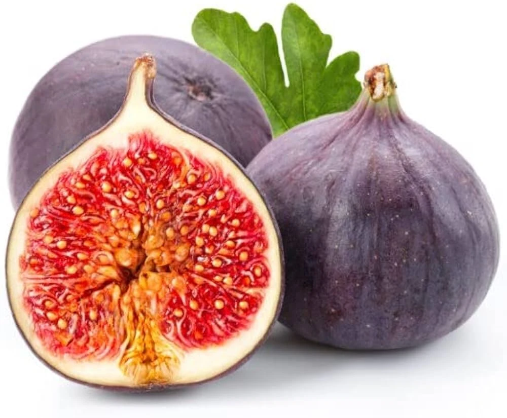 Fig | Ro-Gen Vegetables Wiki | Fandom