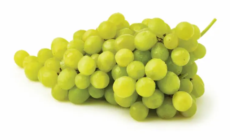 Grapes | Ro-Gen Vegetables Wiki | Fandom