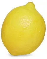 Lemon | Ro-Gen Vegetables Wiki | Fandom