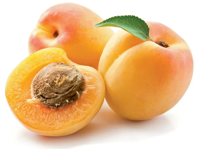 Apricot | Ro-Gen Vegetables Wiki | Fandom