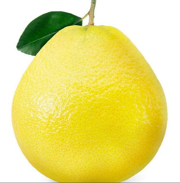 Pommelo Ro Gen Vegetables Wiki Fandom
