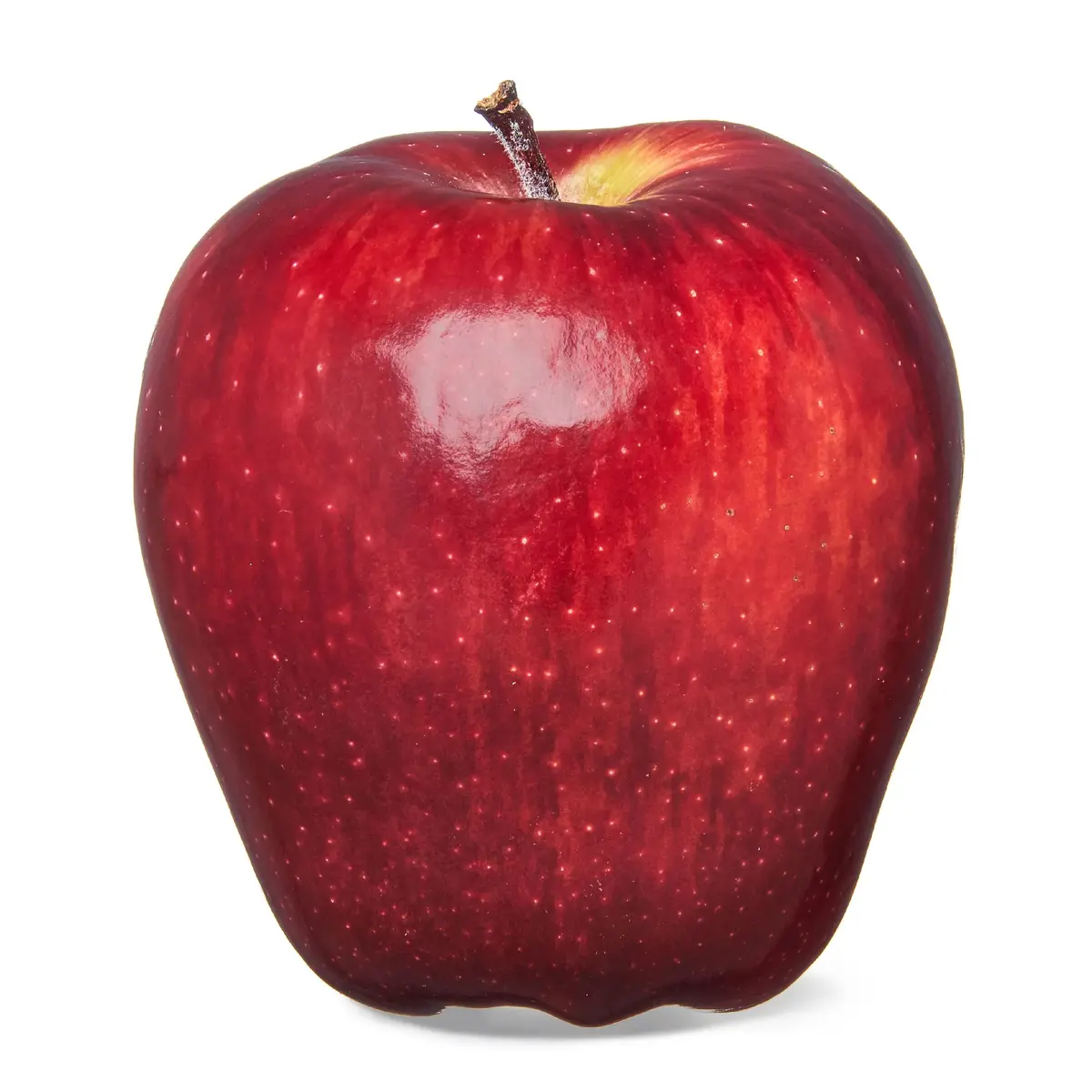 Apple | Ro-Gen Vegetables Wiki | Fandom