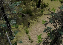 Official Rogue Frontiers Wiki