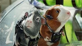 Roo | Role Play Wiki | Fandom