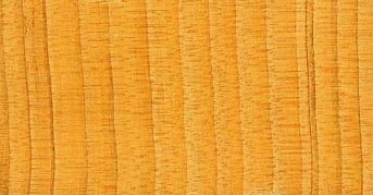 Soarwood | Rolemaster Eberron Wiki | Fandom