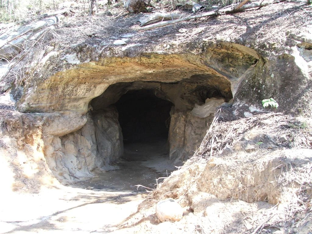 Leaders Den (WindClan) | Roleplay Warrior Cats Wiki | Fandom