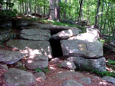 Warriors Den (ThunderClan) | Roleplay Warrior Cats Wiki | Fandom