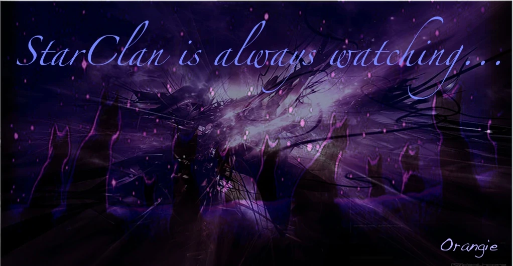 StarClan | Roleplay Warrior Cats Wiki | Fandom