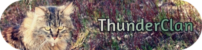 ThunderClan | Roleplay Warrior Cats Wiki | Fandom