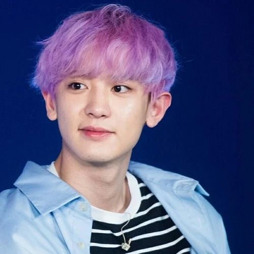 Chanyeol | Roleplayssurvivalshowdatingandmore Wiki | Fandom