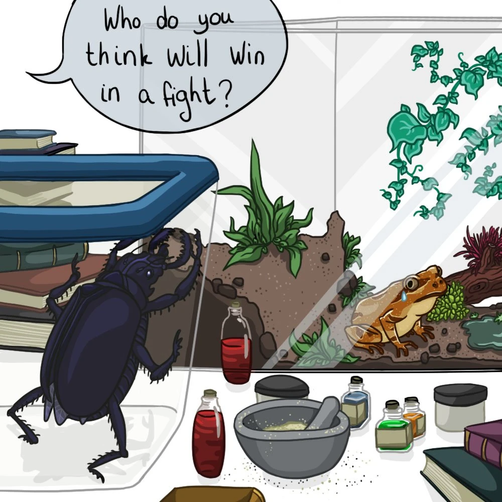 LTVS: Dancing the Night Away | Roll4It Wiki | Fandom