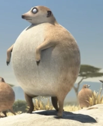 Meerkat | Rollin Safari Wiki | Fandom