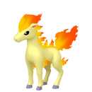 Route 207 | Rom of Pokémon Wiki | Fandom