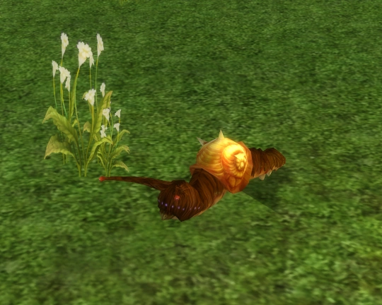 Gluttonous Snail | Runes of Magic Wiki | Fandom