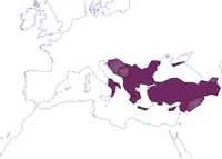 Basil II | Roman-Byzantine Wiki | Fandom
