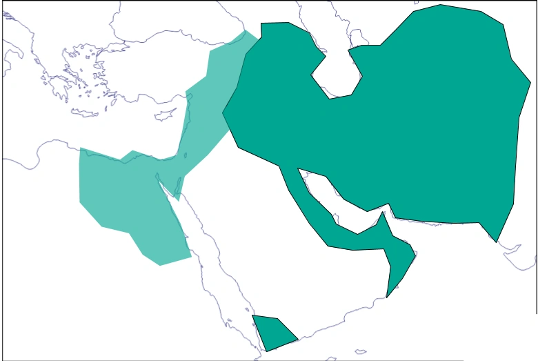 Sassaniand Empire | Roman-Byzantine Wiki | Fandom