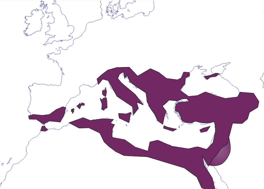 Eastern Roman Empire | Roman-Byzantine Wiki | Fandom