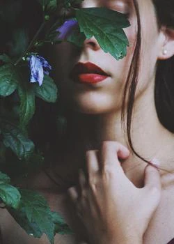 Rain and Reverie | Romance Novels Wiki | Fandom