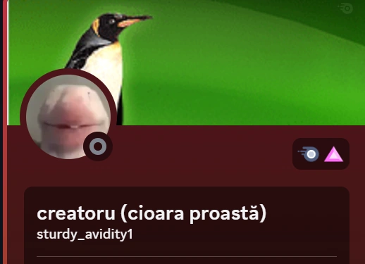 Discord serverul | Romanian frutiger aero Wiki | Fandom