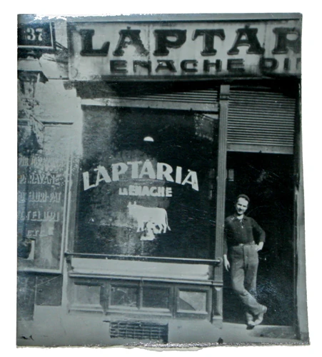 Stephan Roll | Romanian Literature Wiki | Fandom