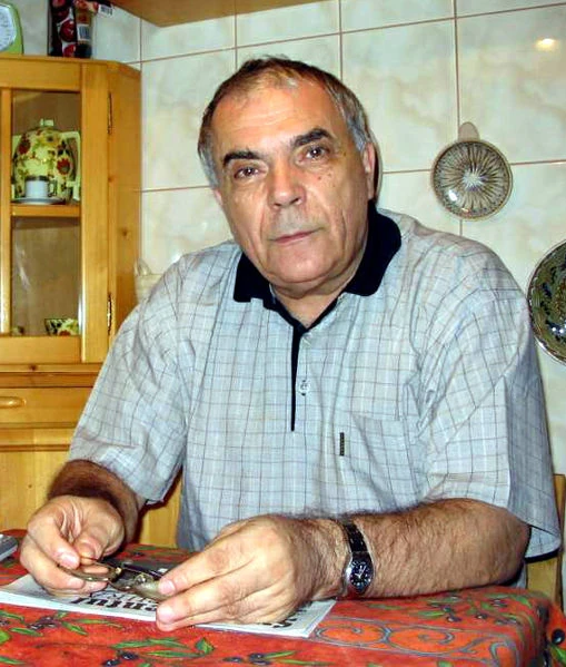 Nicolae Manolescu | Romanian Literature Wiki | Fandom