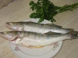 Poached Perch | Romanian Recipes Wiki | Fandom