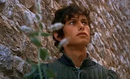 Benvolio | Romeo And Juliet Wiki | Fandom