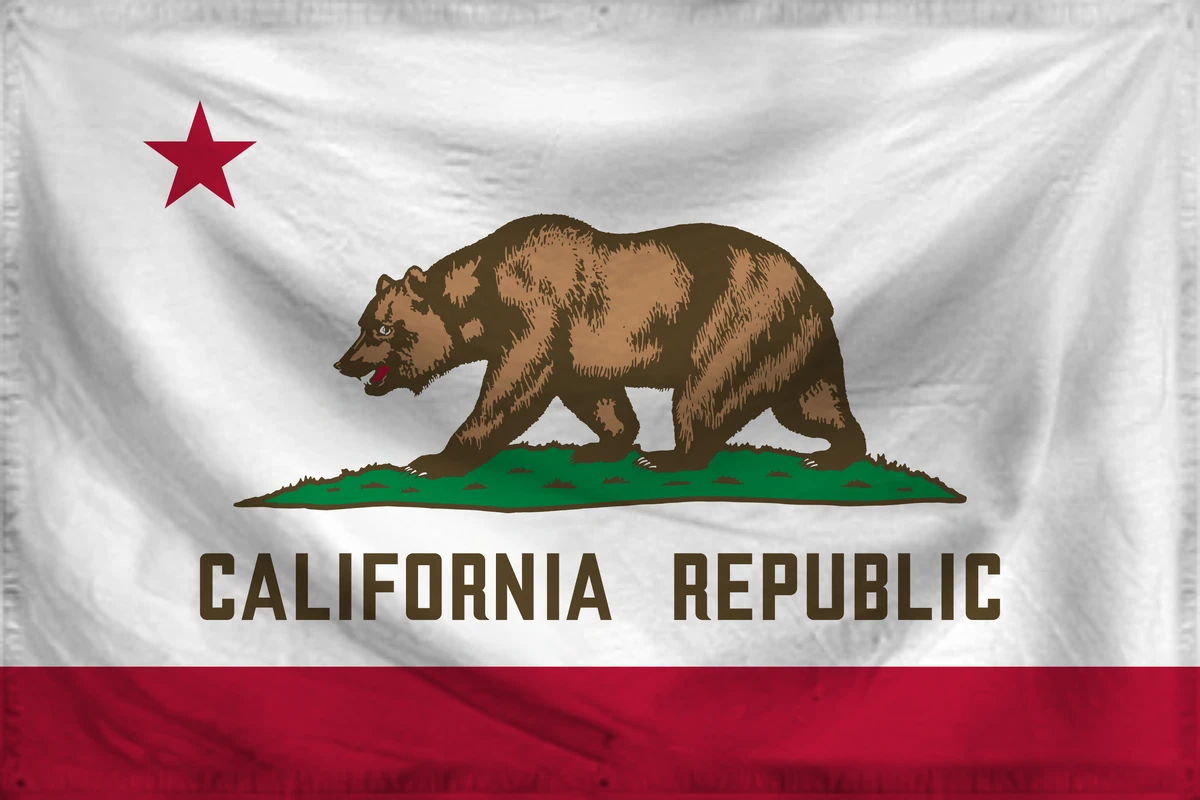 The Bear Flag Republic | Roblox Rise of Nations Wiki | Fandom