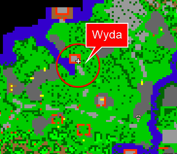 Wyda | Rookgaard Tales Wiki | Fandom