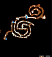 Sunken Pirates Quest | Rookgaard Tales Wiki | Fandom