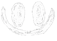 A-200 (The Happy Scribble) | Rooms but Doors Wiki | Fandom