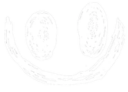 A-200 (The Happy Scribble) | Rooms but Doors Wiki | Fandom