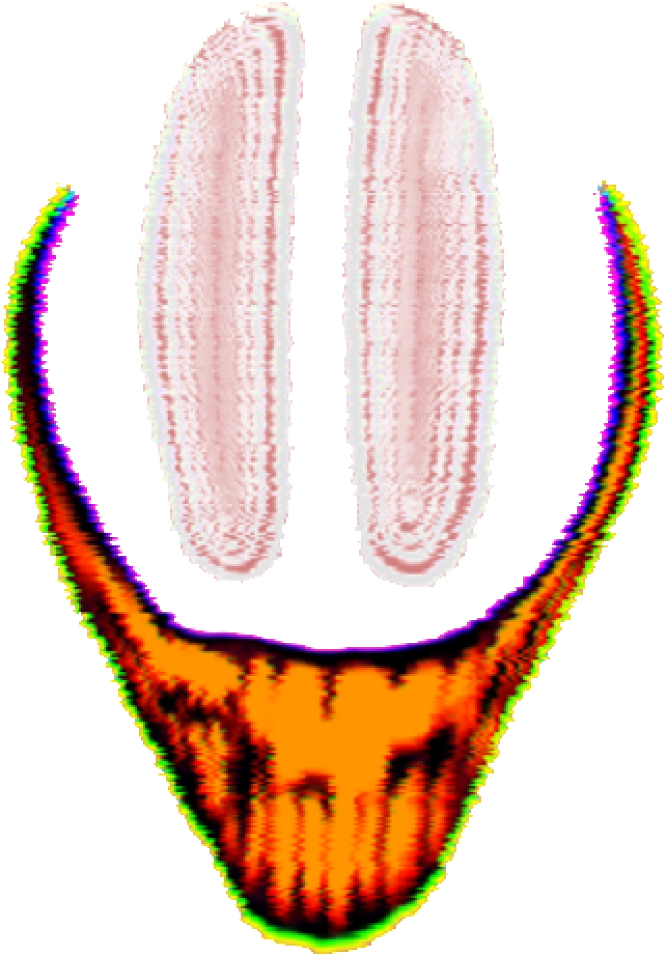 F-20 | Rooms in the insanity Wiki | Fandom