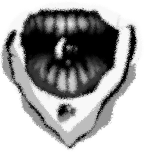 A-238 (The holographic Trickster) | ROOMS Low detailed Fan ideas Wiki ...