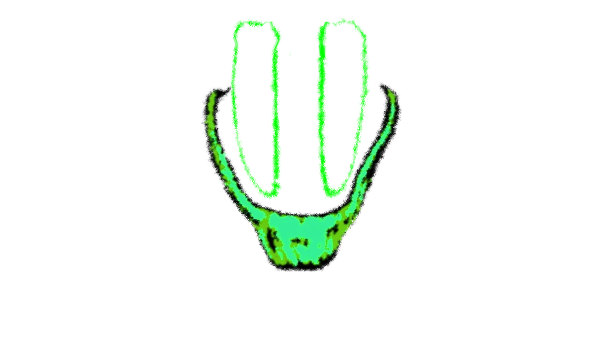 User blog:Scribblelad/CC-45 | ROOMS Low detailed Fan ideas Wiki | Fandom