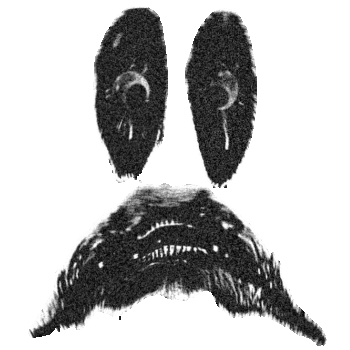 G-184 (A Fleshed and Abominable Demon/The Computer Virus)" | ROOMS Low ...