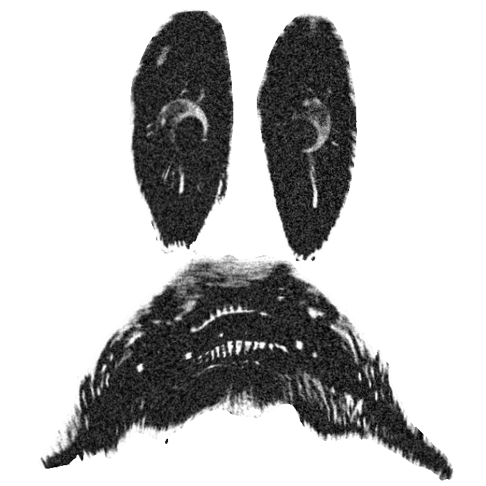 G-184 (A Fleshed and Abominable Demon/The Computer Virus)" | ROOMS Low ...