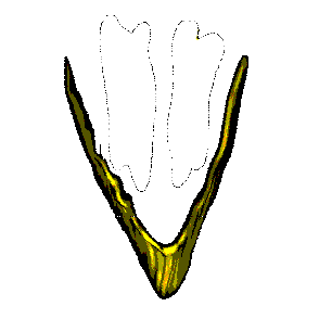 B-45 | ROOMS Low detailed Fan ideas Wiki | Fandom