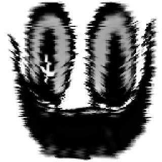 CCCCCCC-185 | ROOMS Low detailed Fan ideas Wiki | Fandom